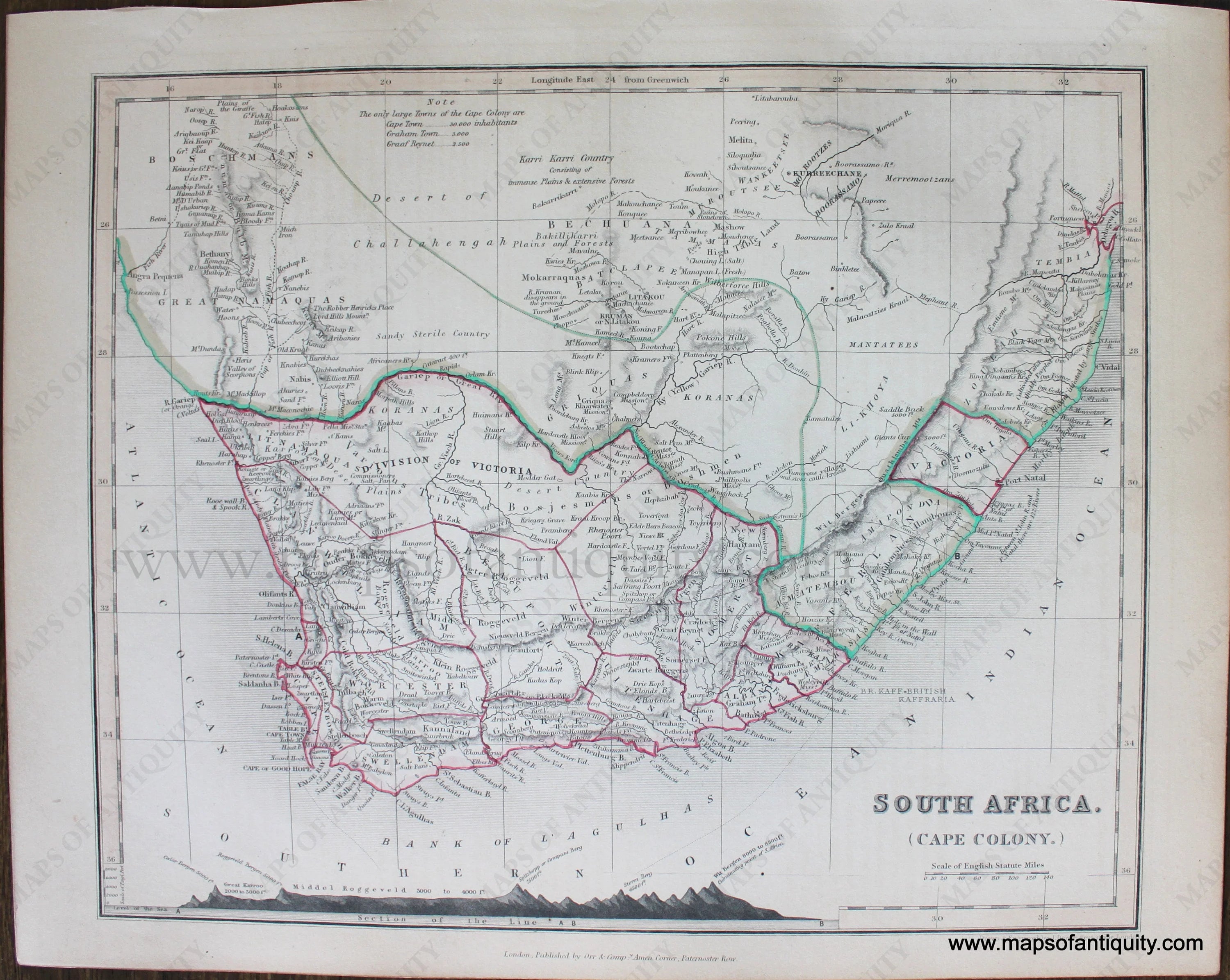 1850 - South Africa (Cape Colony) - Antique Map – Maps of Antiquity