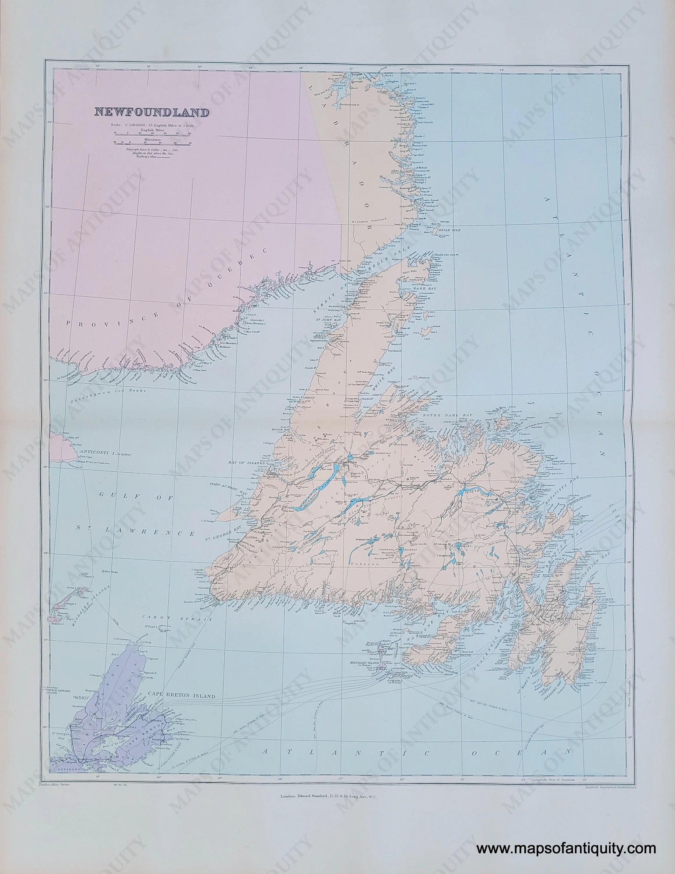 1904 - Newfoundland - Antique Map – Maps of Antiquity
