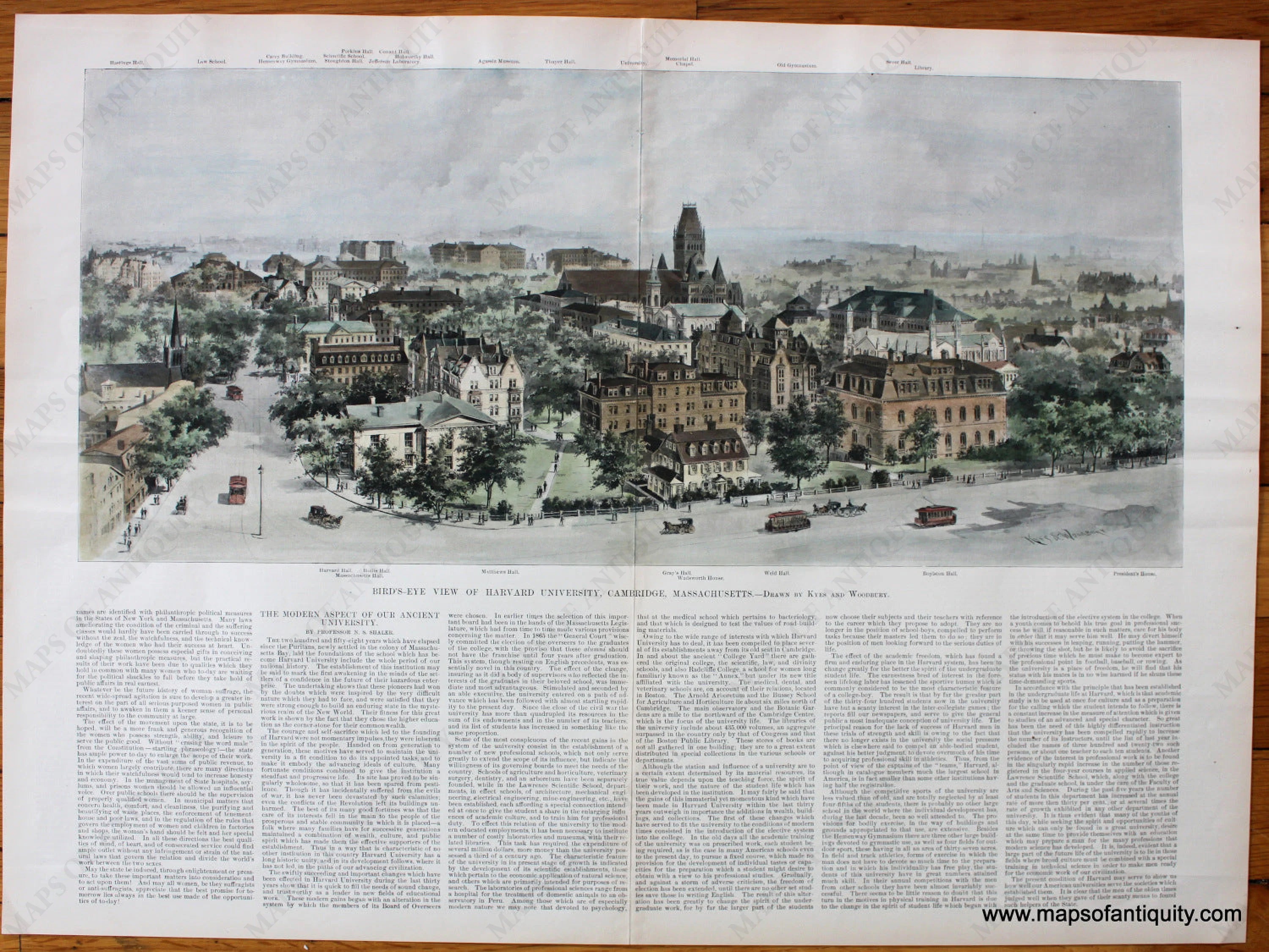 1878 - Bird's Eye View of Harvard University - Antique Print – Maps of ...