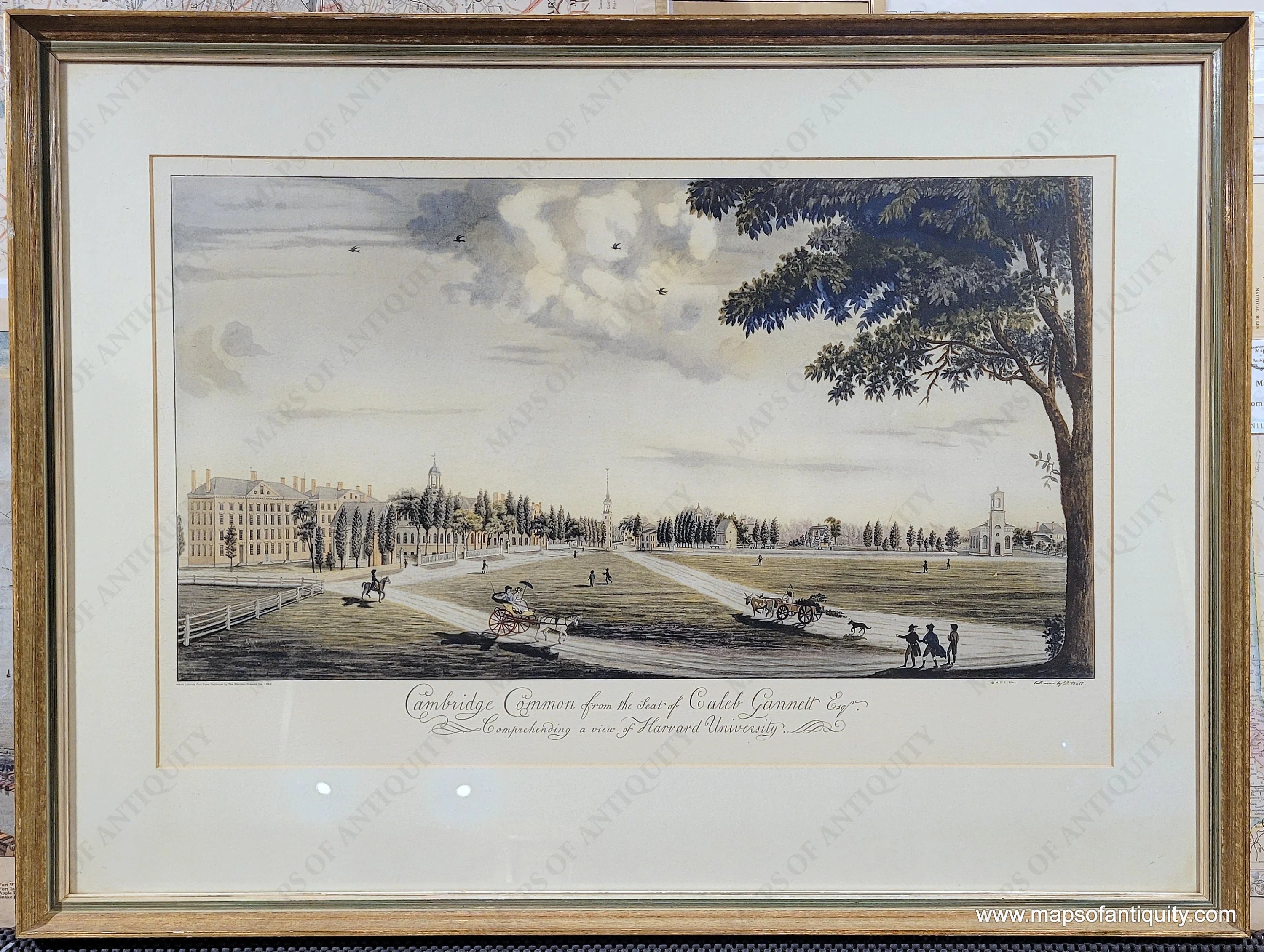 1942 Genuine Vintage Print Cambridge Common from the Seat of Caleb ...
