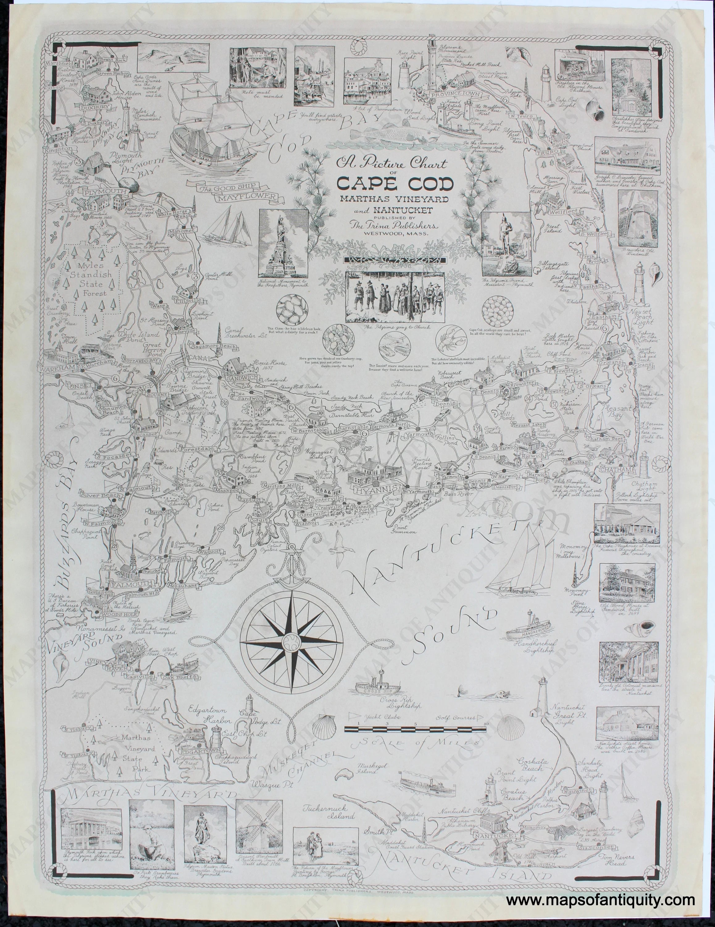 1949 - A Picture Chart of Cape Cod - Antique Map – Maps of Antiquity