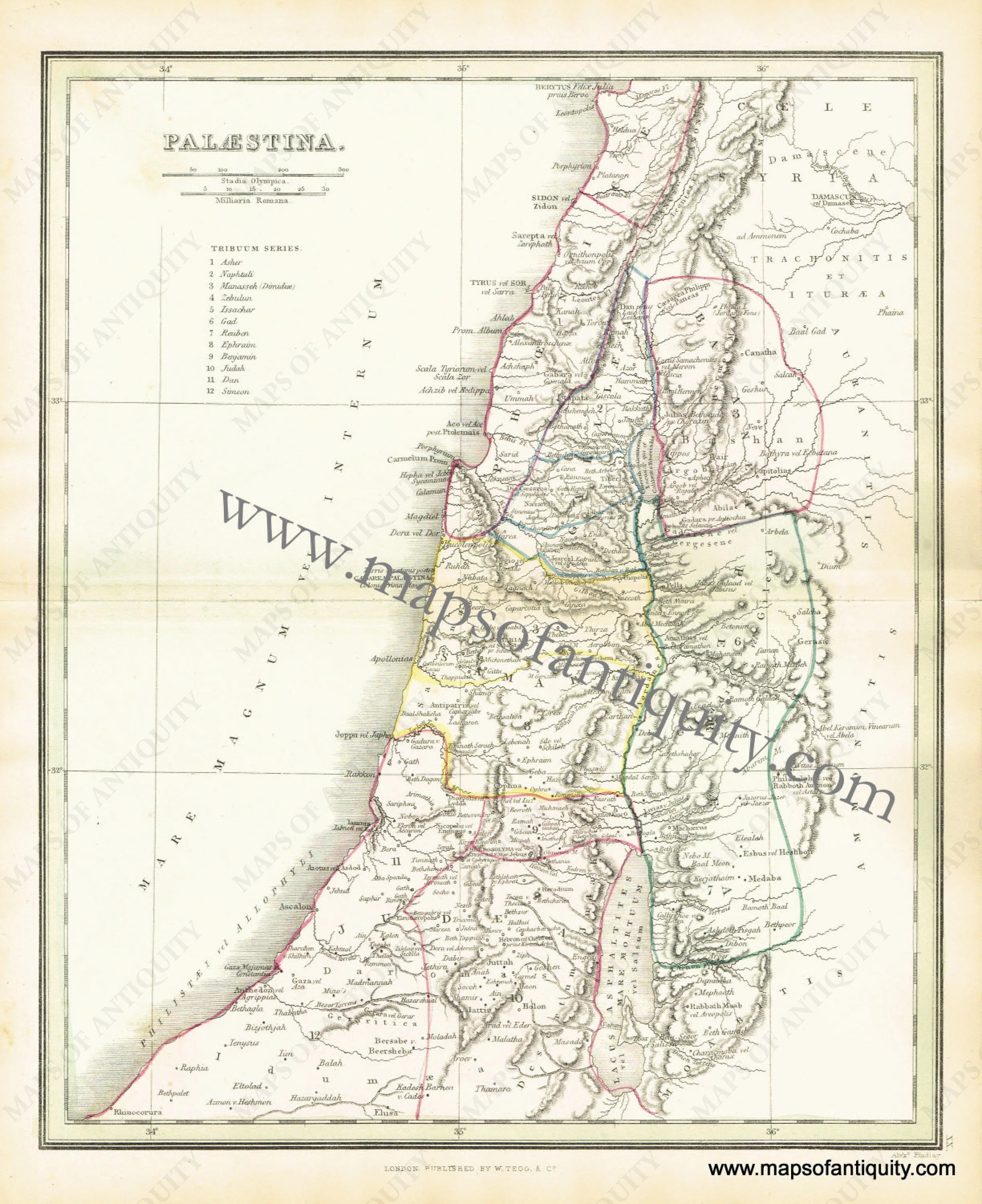 1854 - Palaestina - Antique Map – Maps of Antiquity
