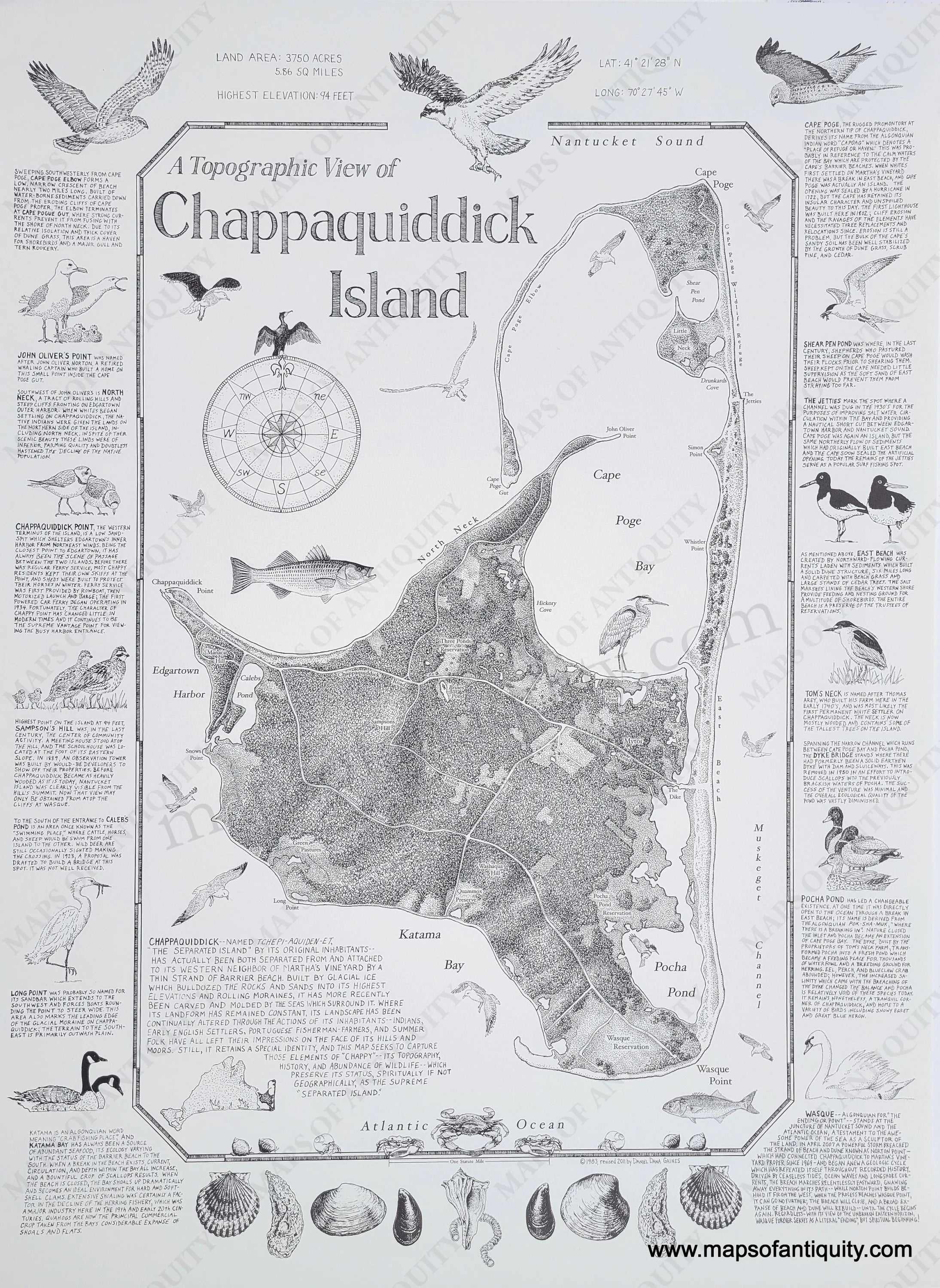 A Topographic View of Chappaquiddick Island (Martha's Vineyard, Massac ...