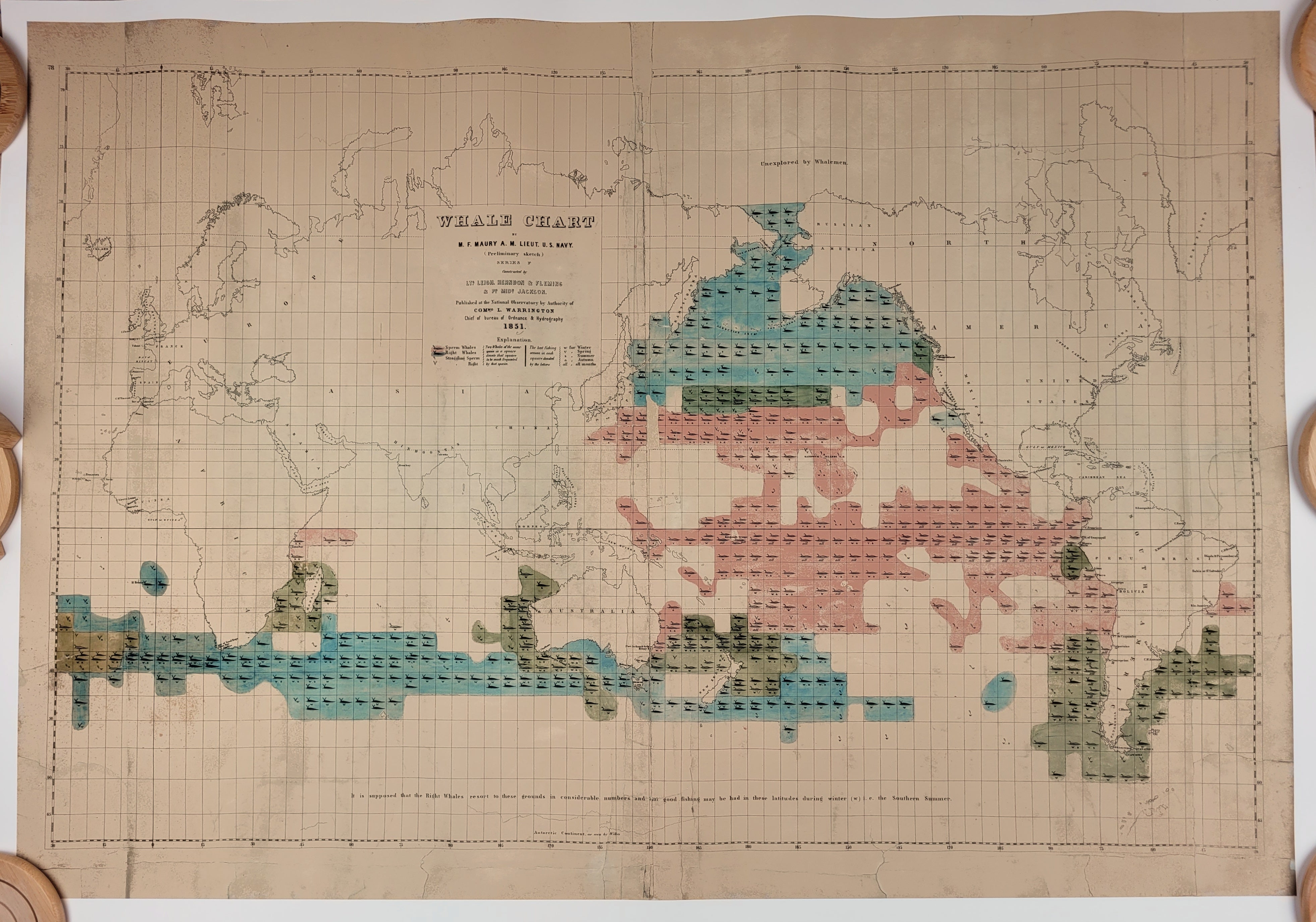 Whale Chart by M.F. Maury Print - Reproduction - – Maps of Antiquity