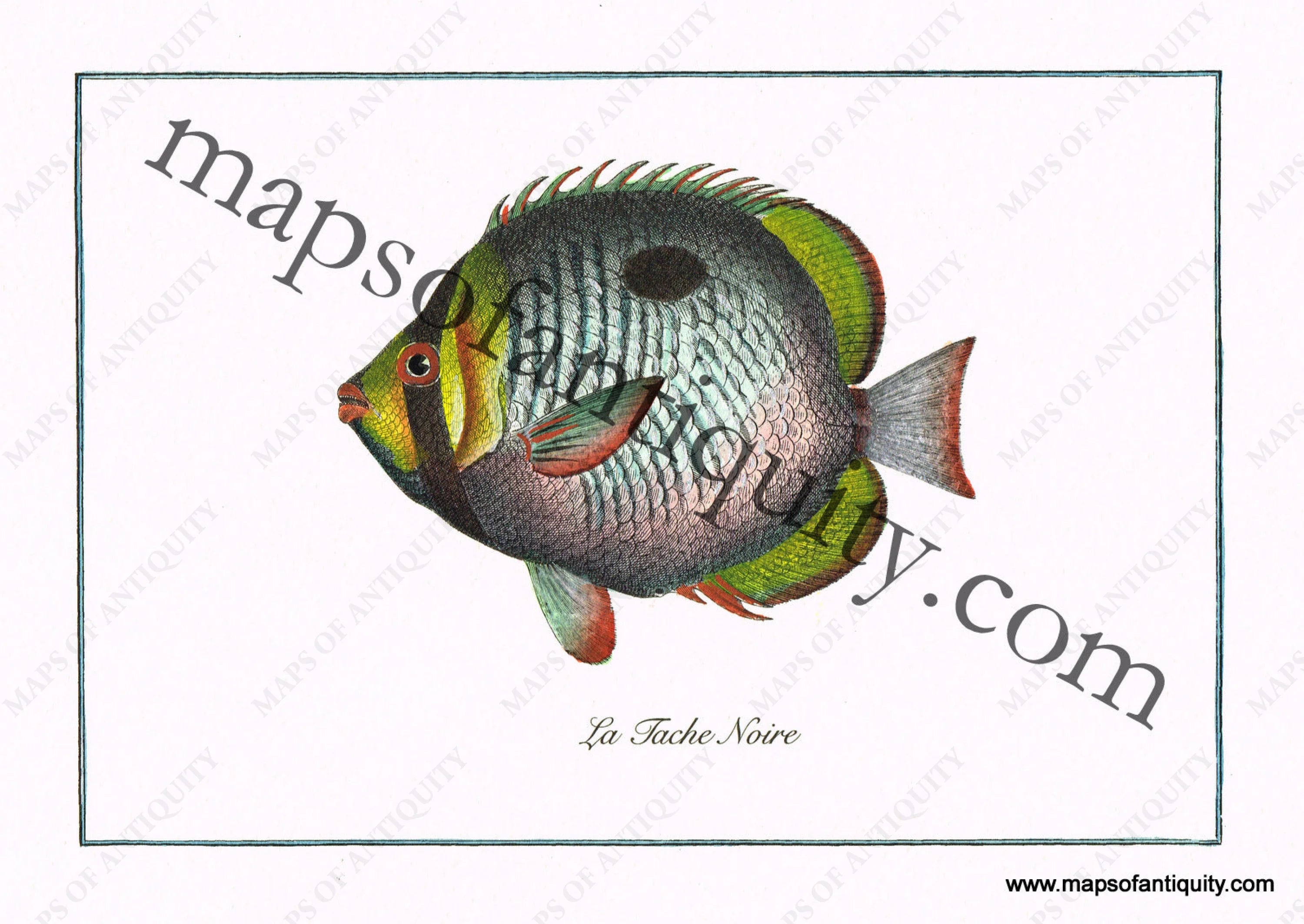 La Tache Noire (Reproduction) – Maps of Antiquity