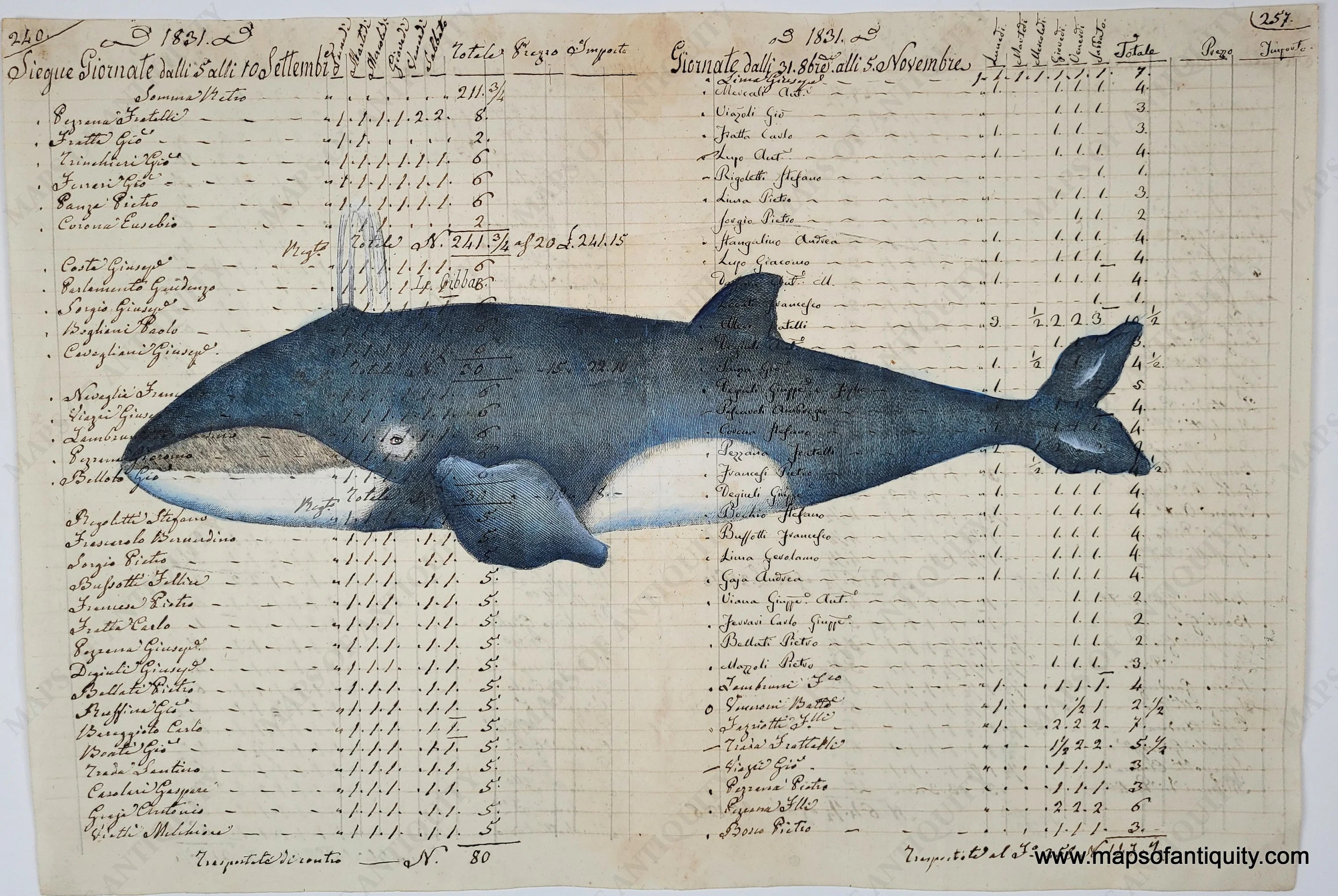 Whale (Reproduction) – Maps of Antiquity
