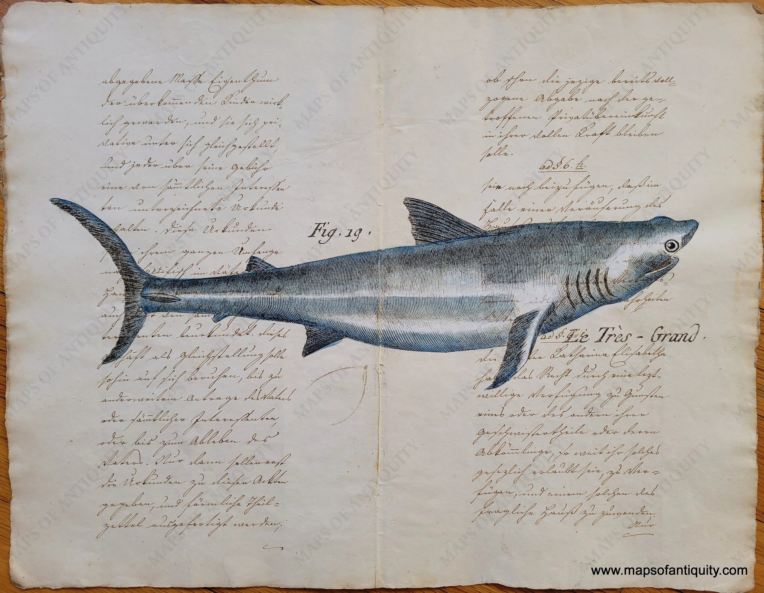 Specialty Hand-Made Reproduction on Antique Paper Le Tres-Grand (Shark ...