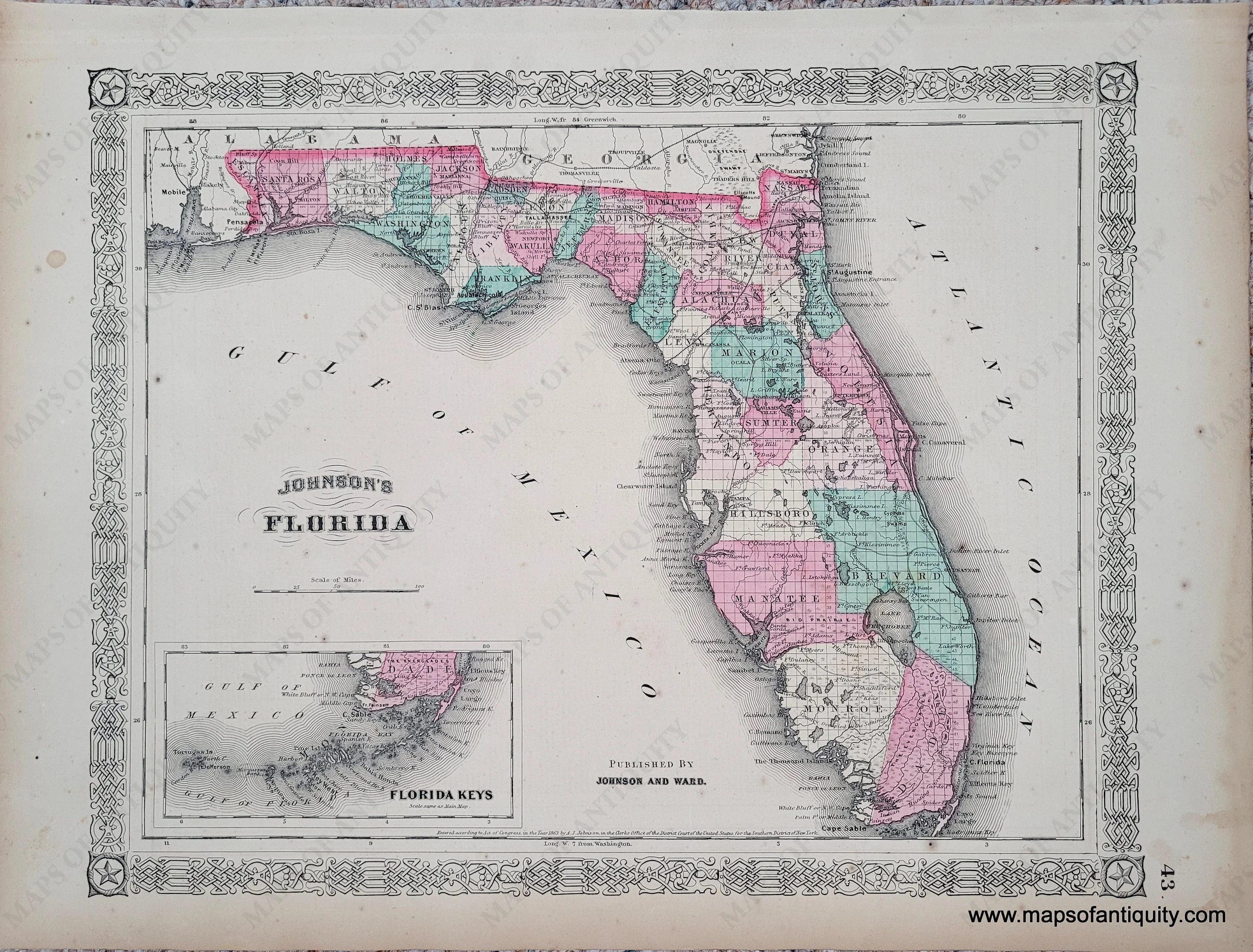 Florida Map 1800 Florida, Mobile. / Mitchell, Samuel Augustus / 1880