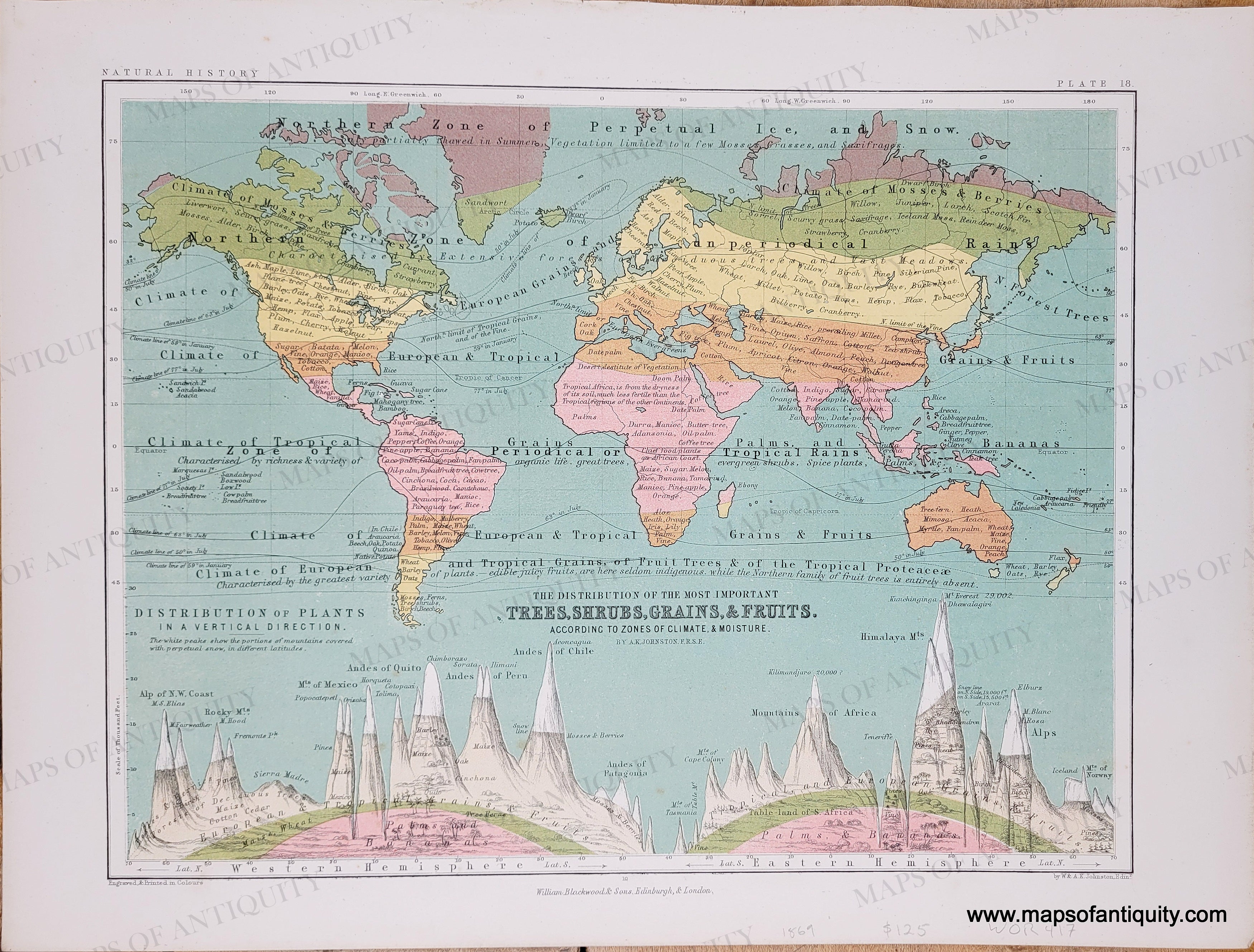 1869 Genuine Antique Map The Distribution of the Most Important Trees ...