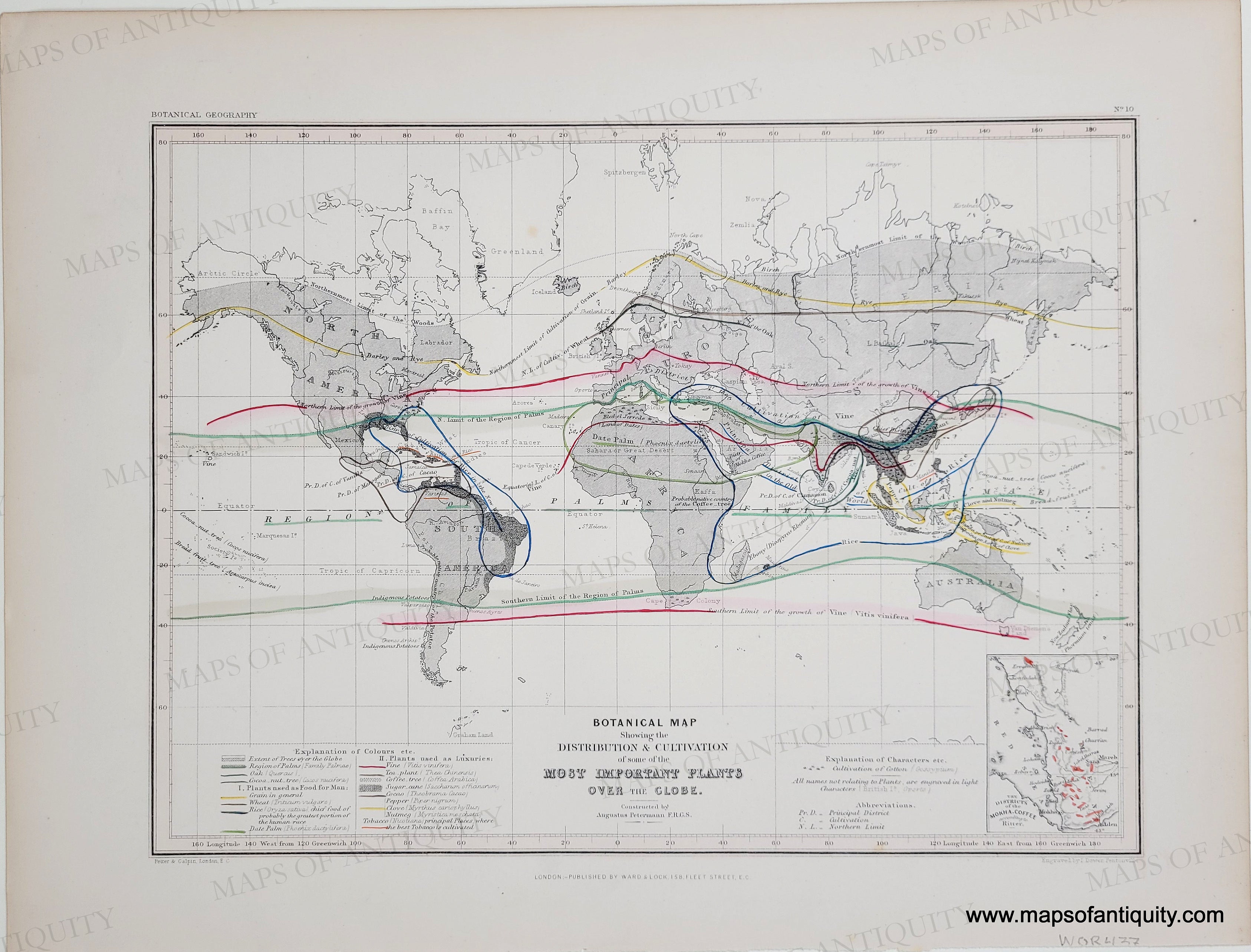 c.1850 - Botanical Map Showing the Distribution & Cultivation of some ...